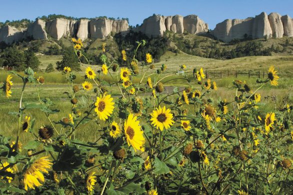 Newmar Service Center - Family RVing Magazine